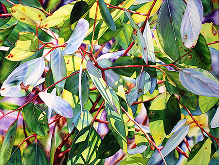 Lethbridge Gallery | Pat Hall | buy original artwork