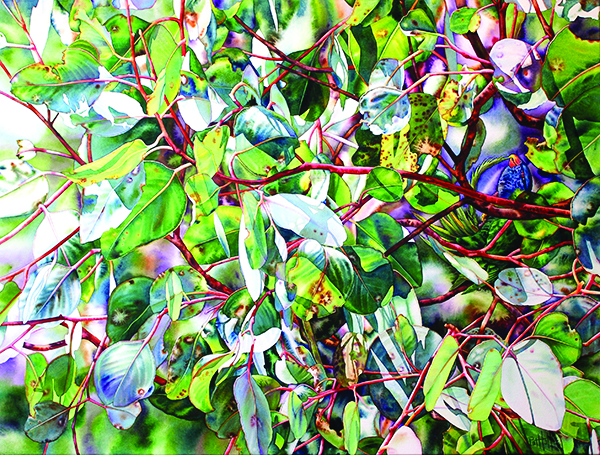 Lethbridge Gallery | Pat Hall | buy original artwork