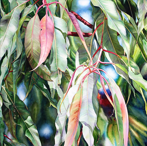 Lethbridge Gallery | Pat Hall | buy original artwork