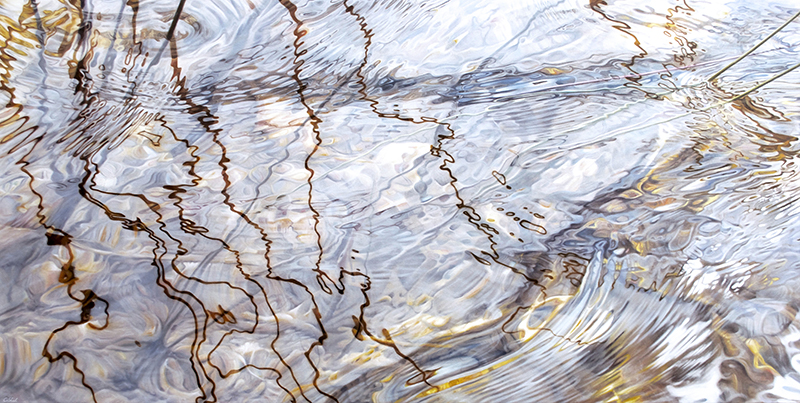 Lethbridge Gallery | Ai Shah | buy original artwork