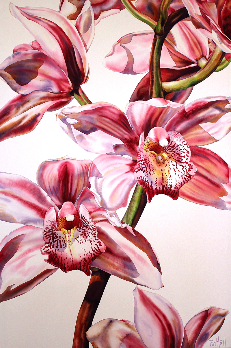 Lethbridge Gallery | Pat Hall | buy original artwork