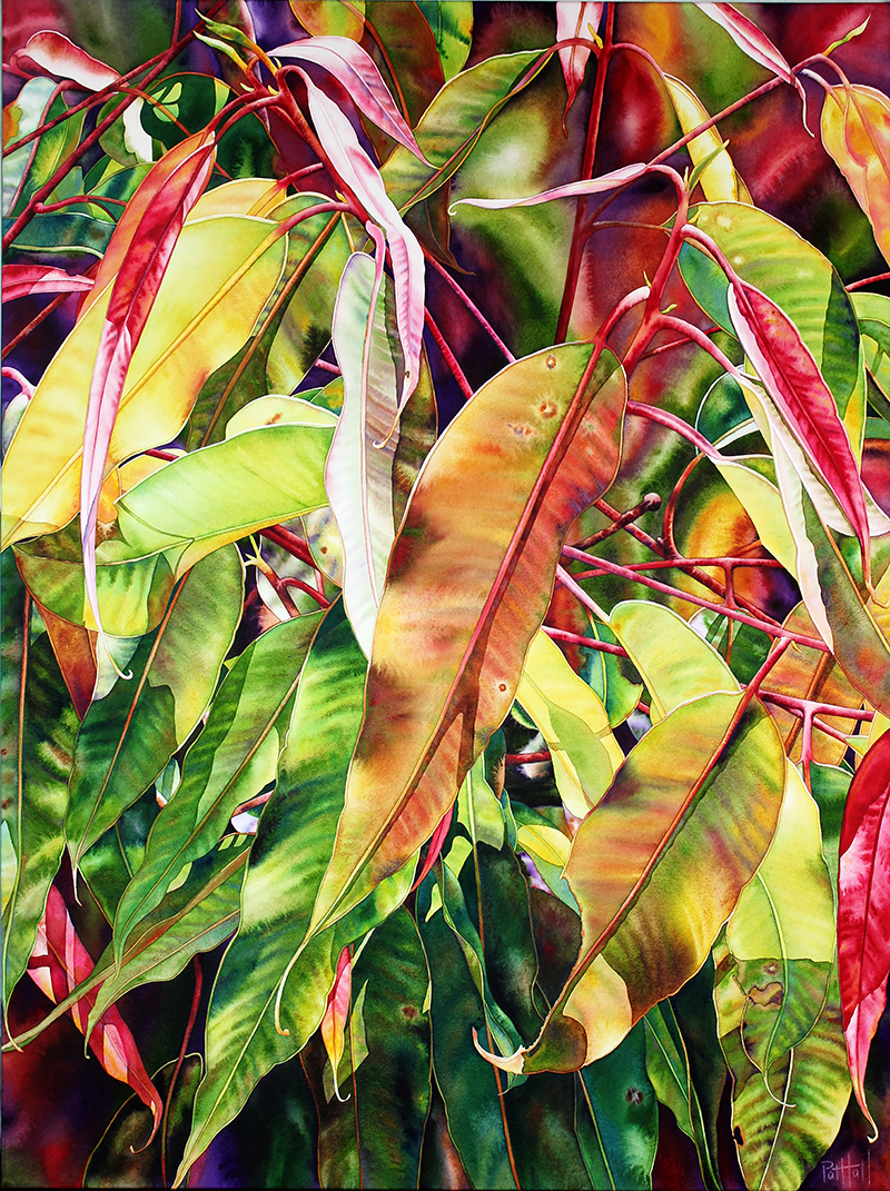 Lethbridge Gallery | Pat Hall | buy original artwork