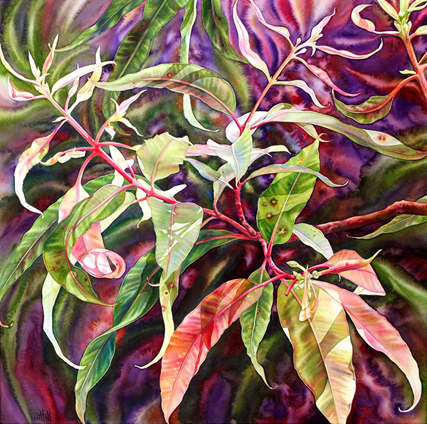 Lethbridge Gallery | Pat Hall | buy original artwork