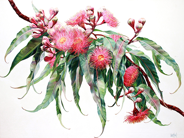 Lethbridge Gallery | Pat Hall | buy original artwork