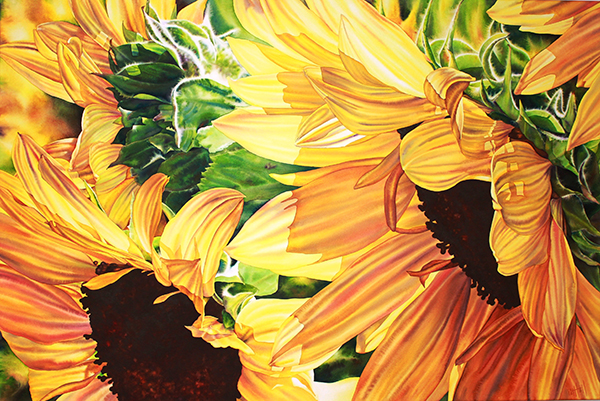 Lethbridge Gallery | Pat Hall | buy original artwork