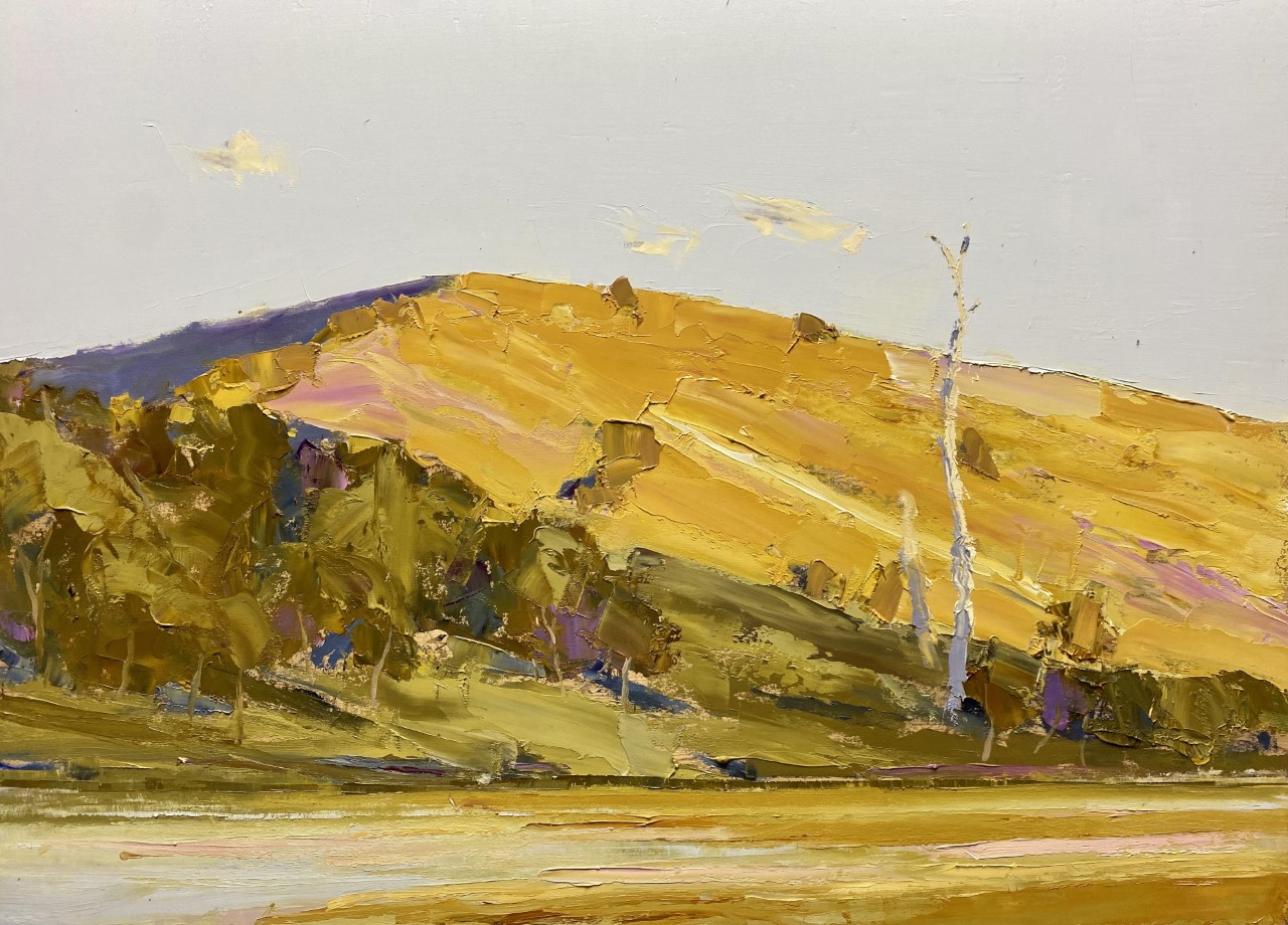 Lethbridge Gallery | Todd Whisson | buy original artwork