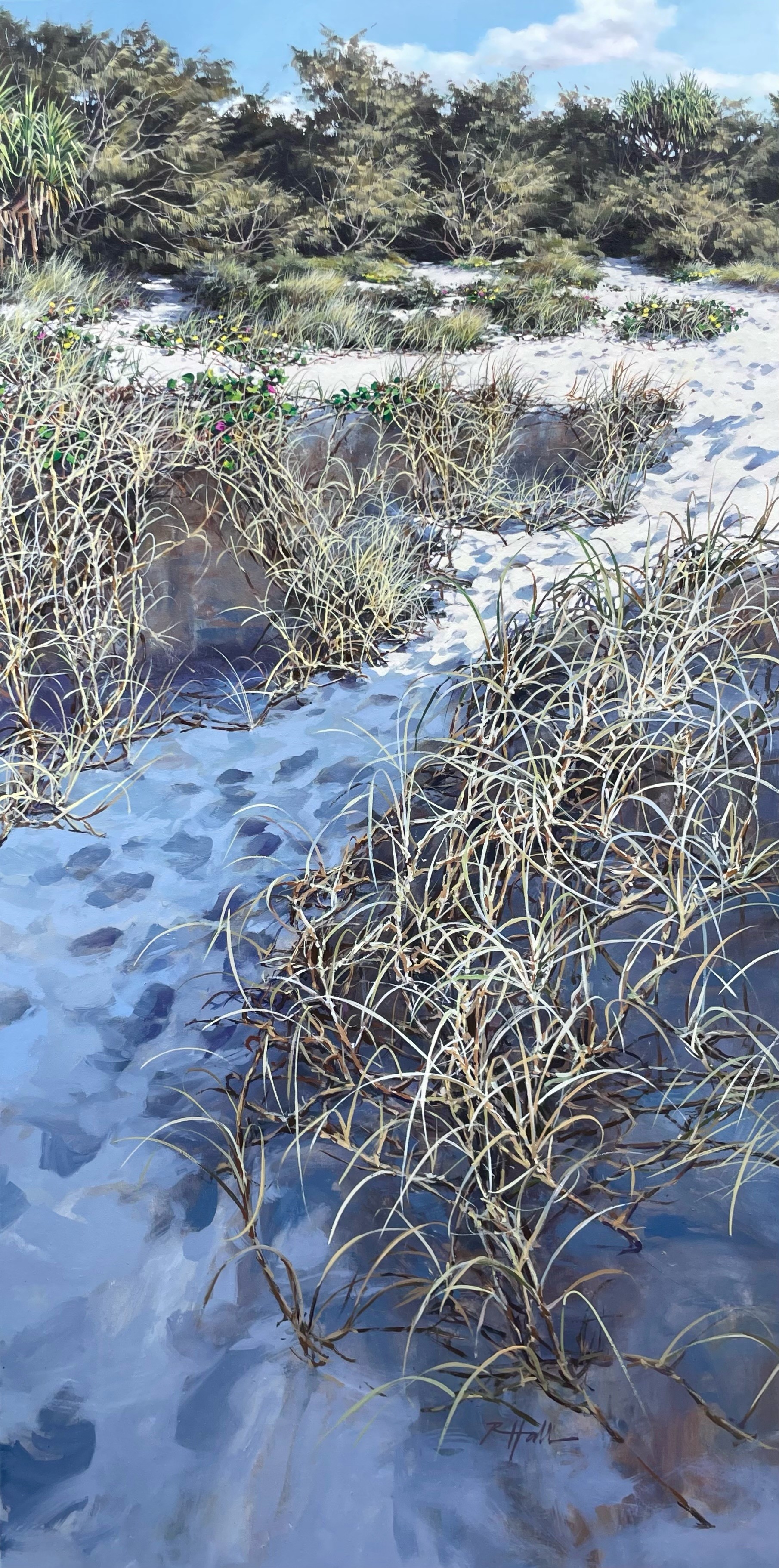 Lethbridge Gallery | Raelean Hall | buy original artwork