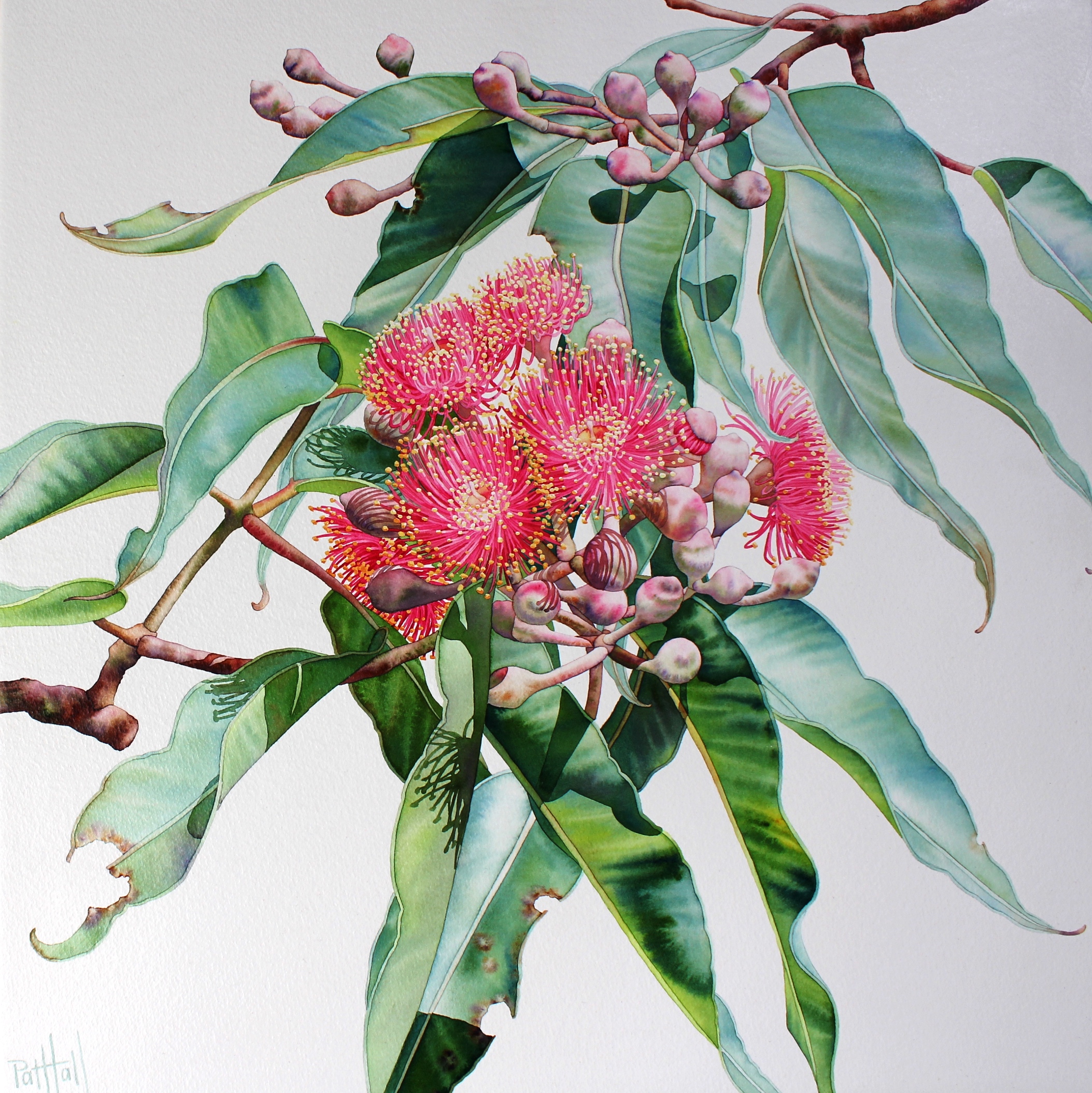 Lethbridge Gallery | Pat Hall | buy original artwork