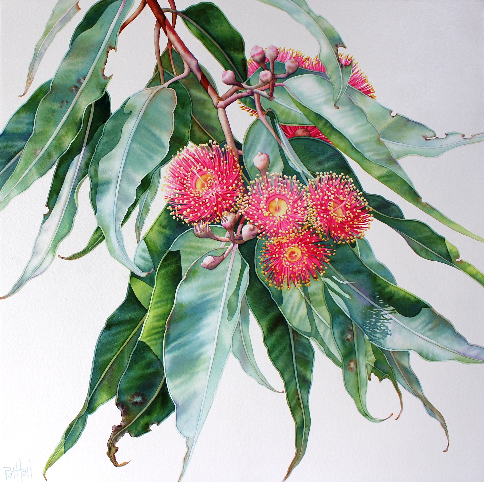 Lethbridge Gallery | Pat Hall | buy original artwork