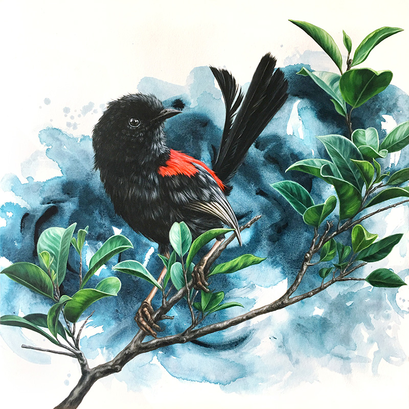 Lethbridge Gallery | Alex Louisa | buy original artwork